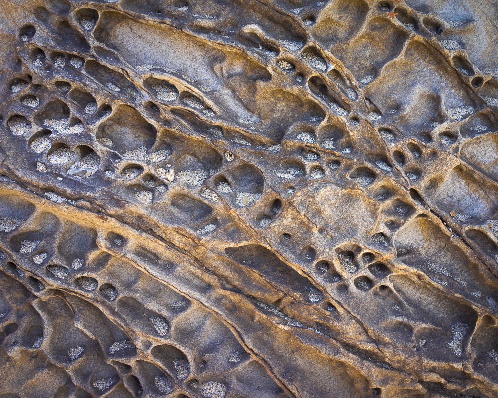 Sand Skeleton | madmanchan